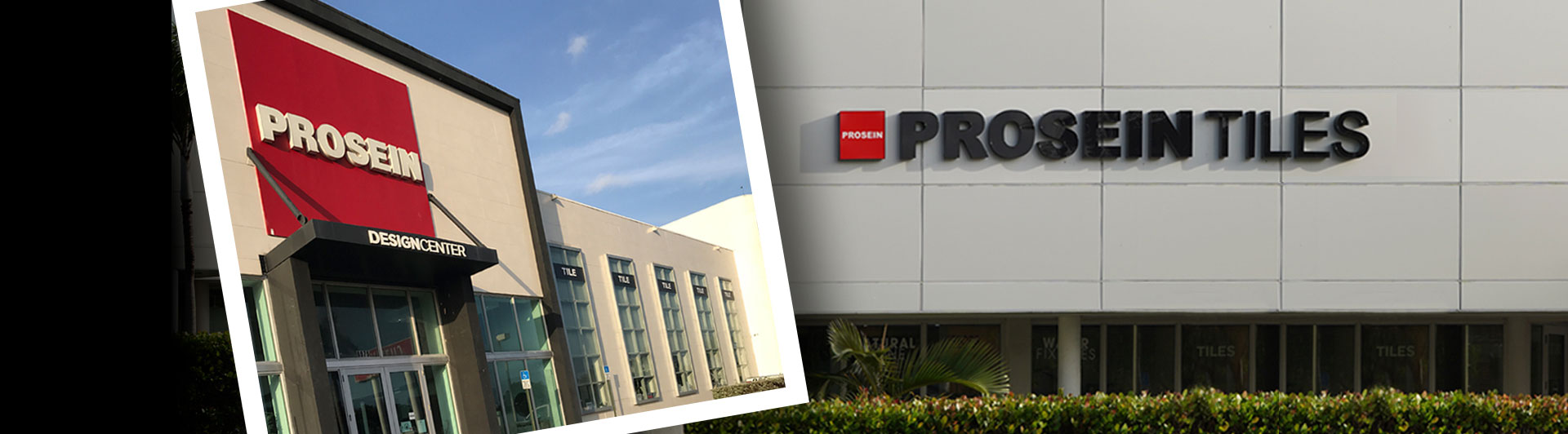 About us | Prosein USA